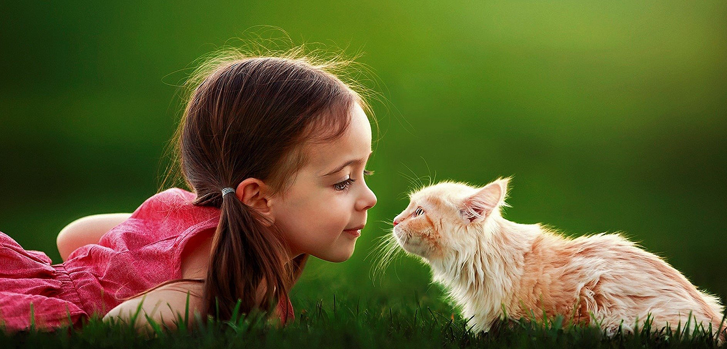 Petpoint™.cc – Die coolsten personalisierten Produkte für Tiere und ...