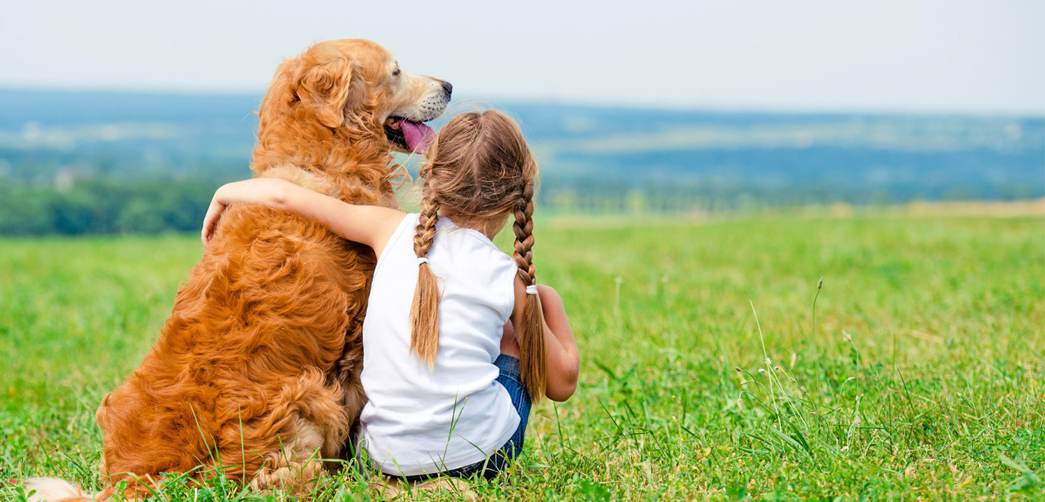 Petpoint™.cc – Die coolsten personalisierten Produkte für Tiere und ...