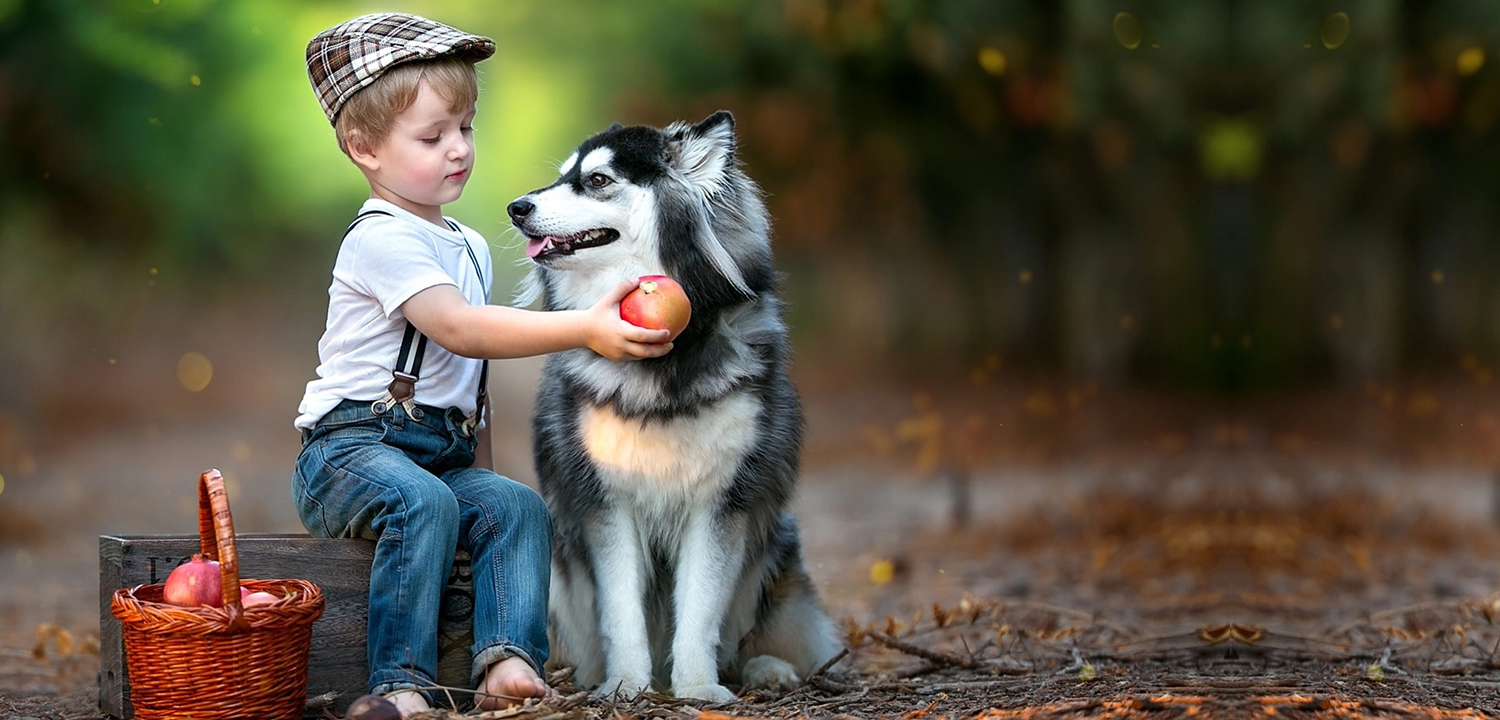 Petpoint™.cc – Die coolsten personalisierten Produkte für Tiere und ...