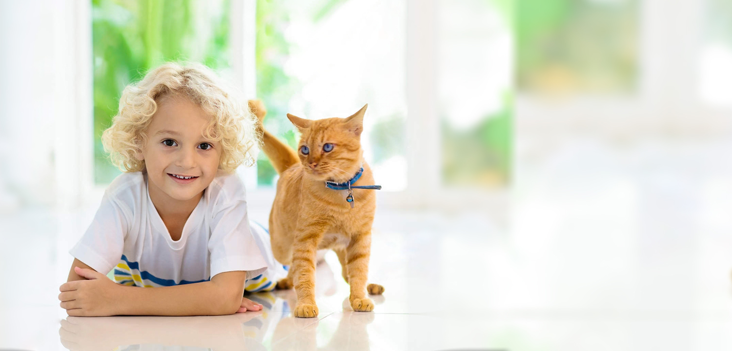 Petpoint™.cc – Die coolsten personalisierten Produkte für Tiere und ...